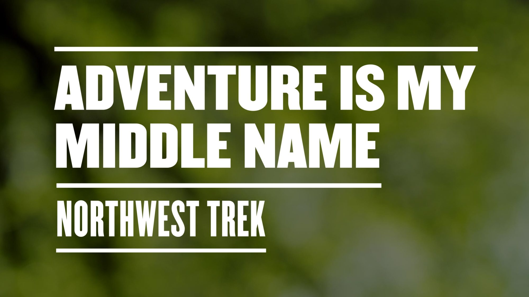 Northwest Trek Ad Campaign - Doubleknot Creative