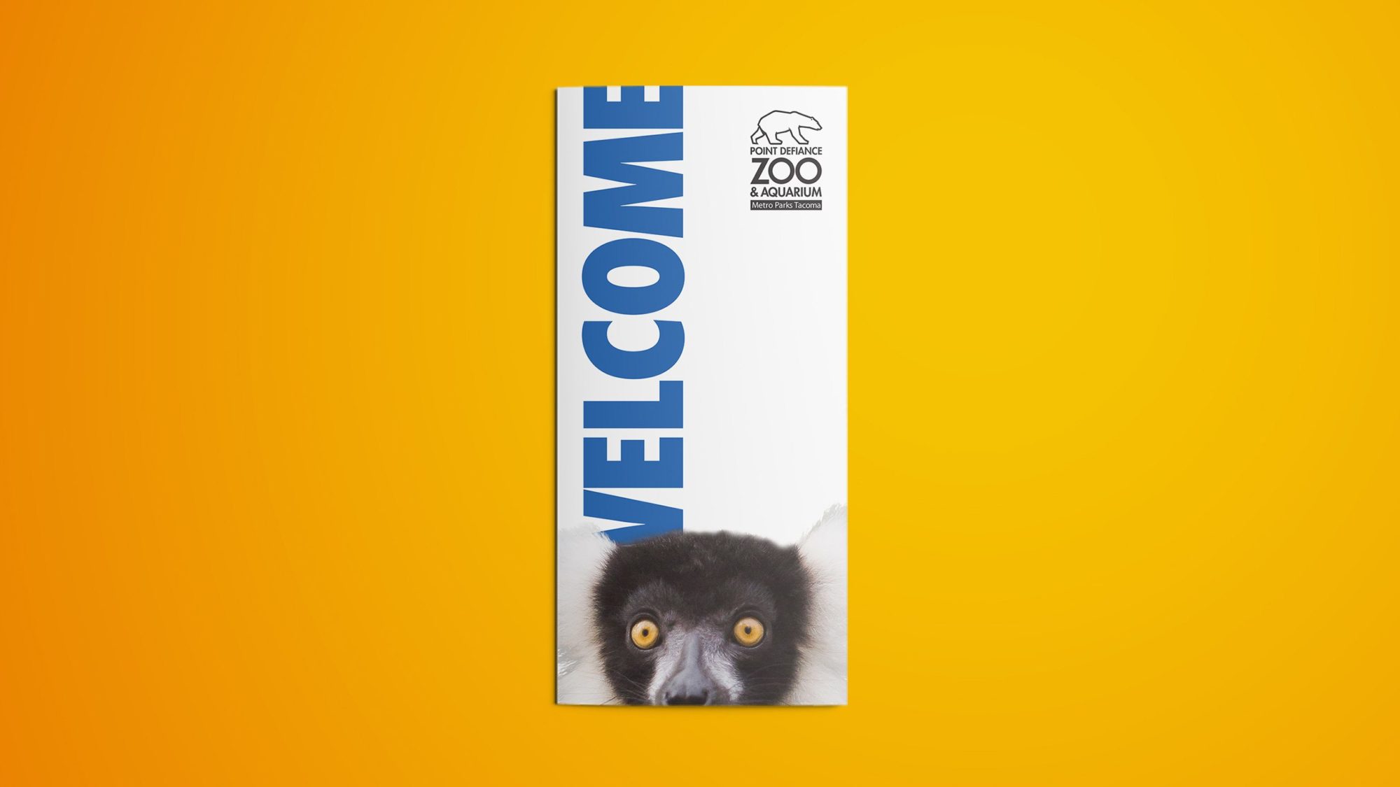 Membership Program Visual Identity & Campaign - Doubleknot Creative